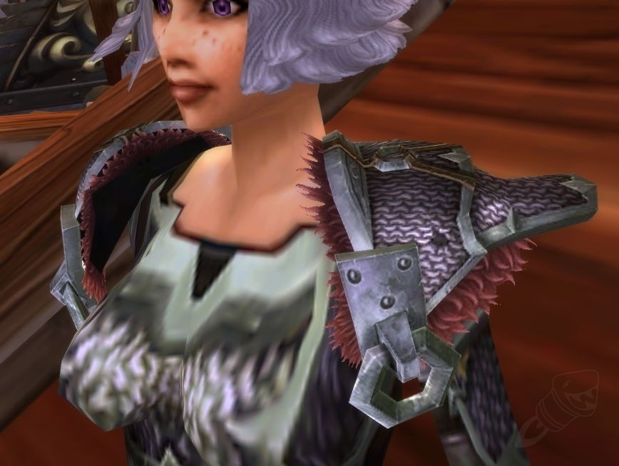 Trailbreaker's Spaulders - Item - World of Warcraft