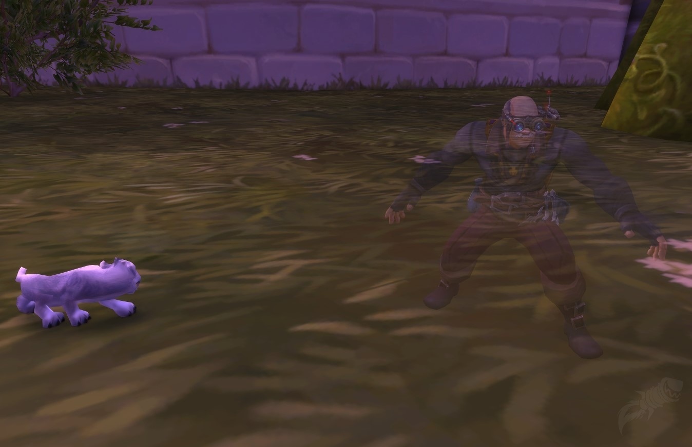 [DNT] Objective 3 - NPC - World of Warcraft