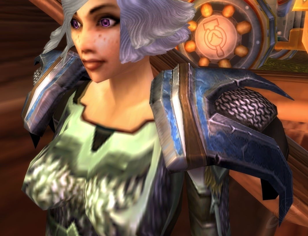 Patched Trapper Pauldrons - Item - WotLK Classic