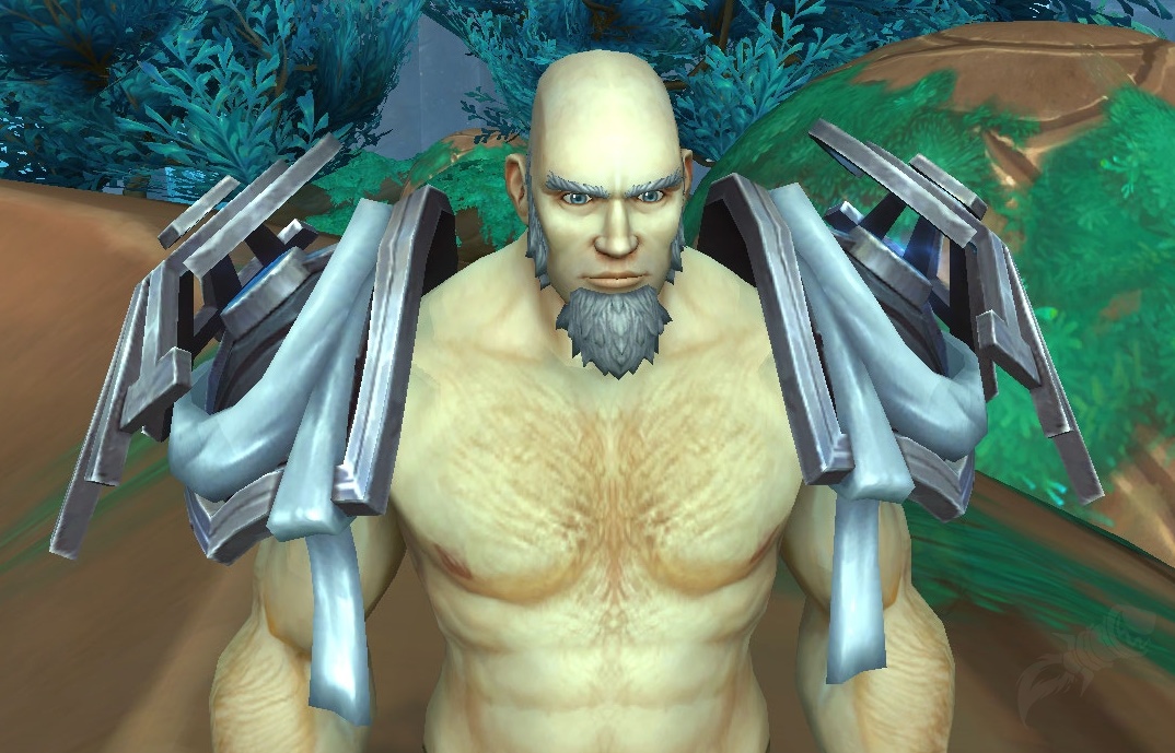 Harmonious Watcher's Shoulders - Item - World of Warcraft