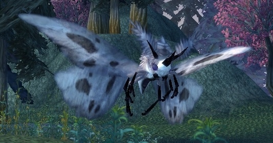 Moth - Grey - NPC - 월드 오브 워크래프트