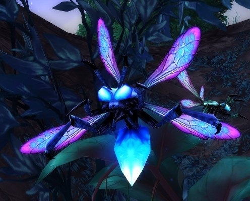 Zángano lucero de pantano - PNJ - World of Warcraft