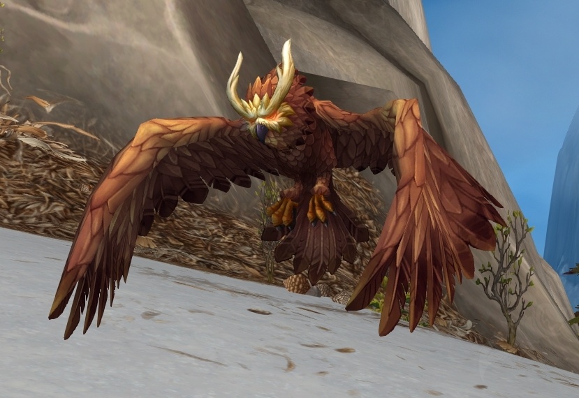 Long-Eared Owl - NPC - World of Warcraft