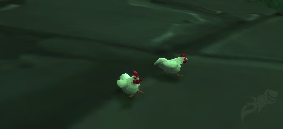 Pollo - PNJ - World of Warcraft