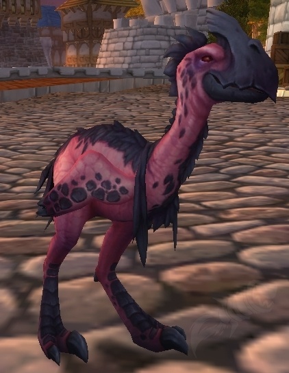 Lovebird Hatchling - Item - World of Warcraft