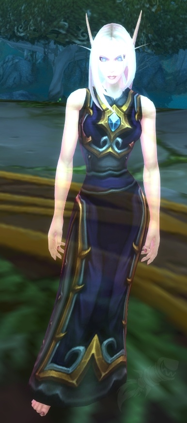 Echo of the Past - NPC - World of Warcraft