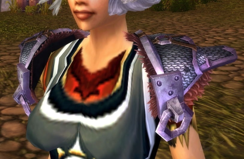 Bloodbinder's Shoulderguards - Item - World of Warcraft
