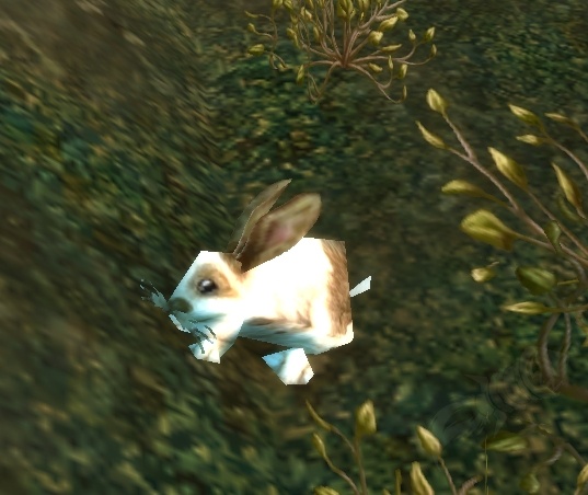 Rabbit - NPC - WotLK Classic