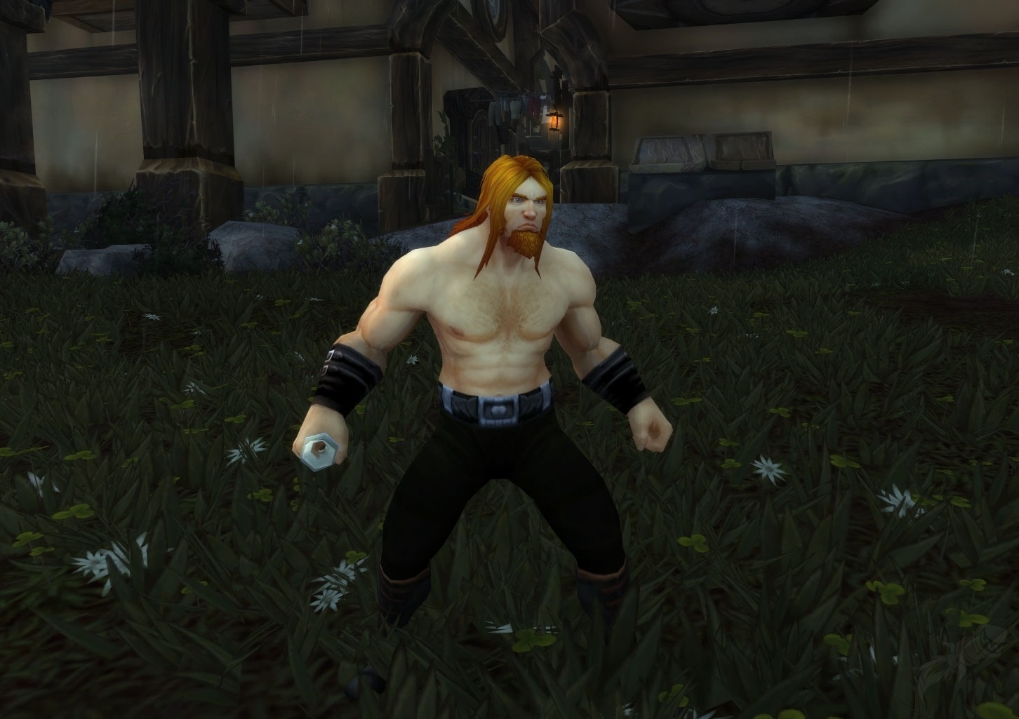 Prince Liam Greymane - NPC - World of Warcraft