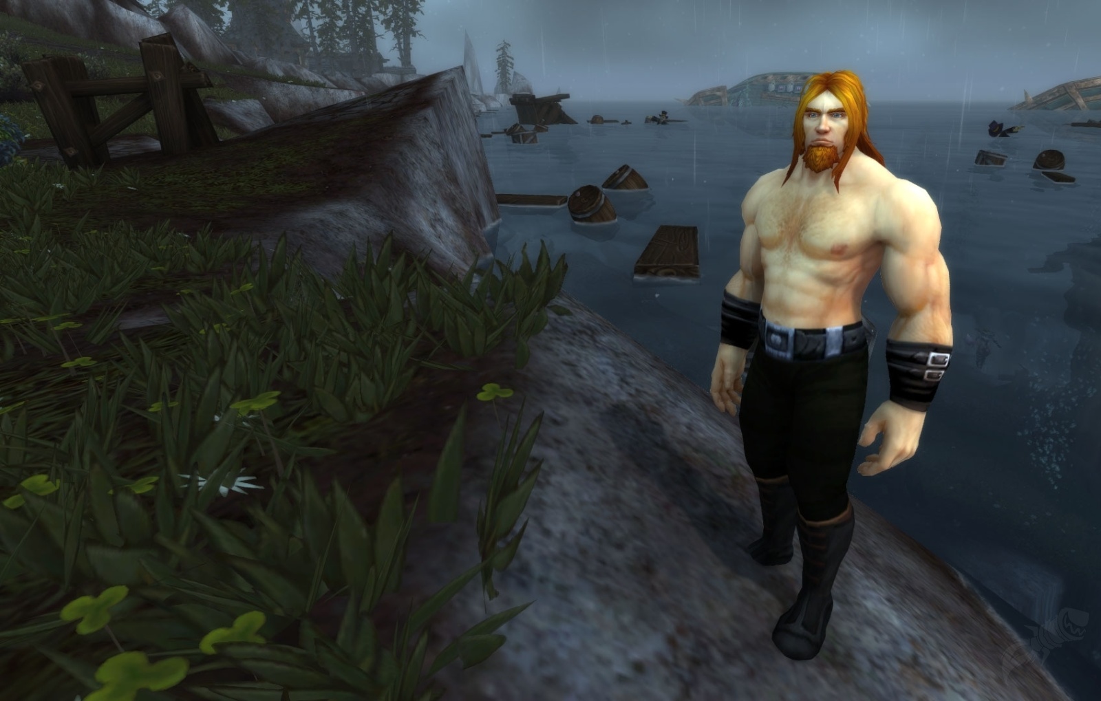 Prince Liam Greymane - NPC - World of Warcraft