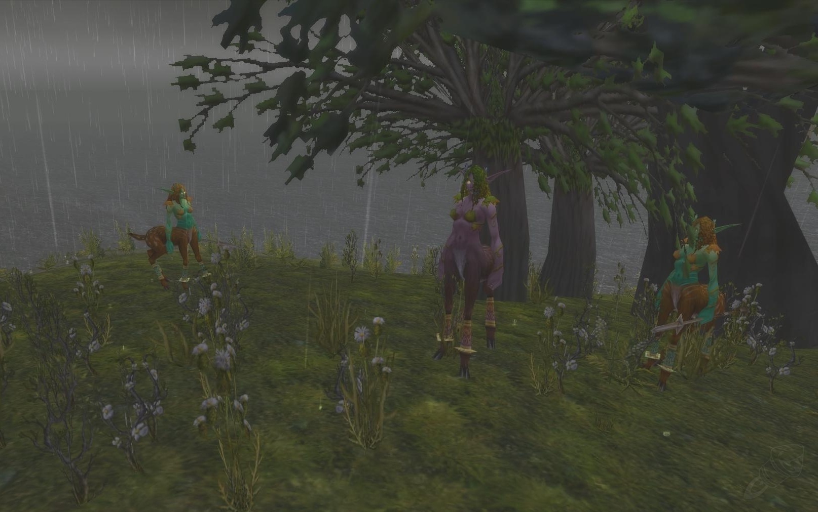 Selendra - NPC - WotLK Classic