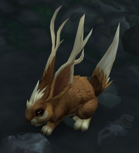 Stormsoaked Rabbit - NPC - World of Warcraft