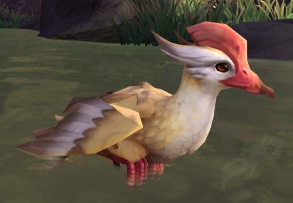 Oasis Mallard - NPC - World of Warcraft