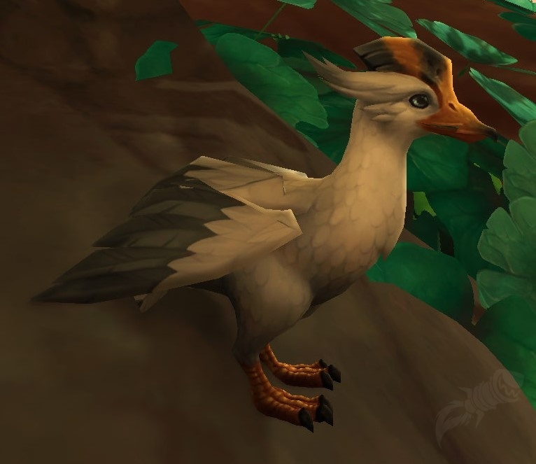 Pato Bico-de-ferro - PNJ - World of Warcraft