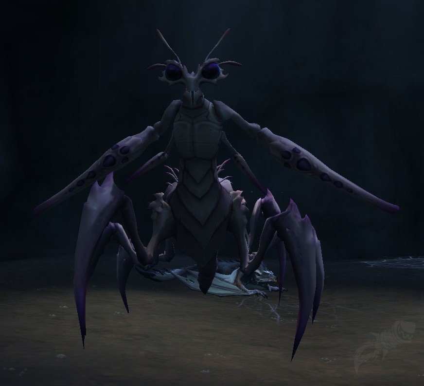 Web-Queen Ashkaz - NPC - World of Warcraft
