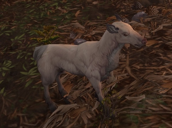 Skittish Doe - NPC - World of Warcraft