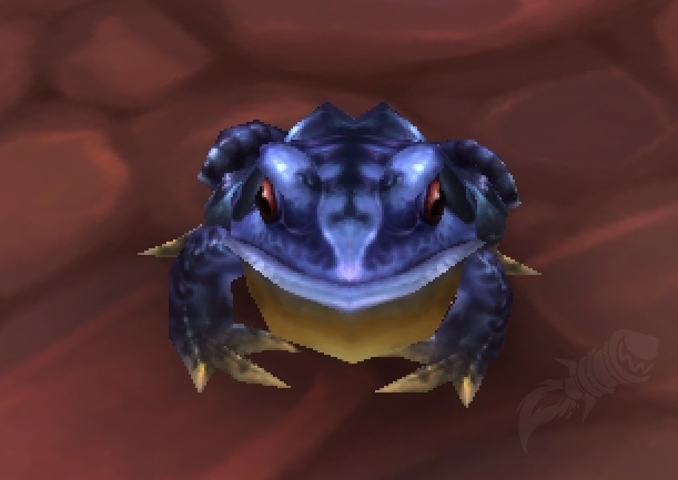 베낙스 - 주문 - 월드 오브 워크래프트