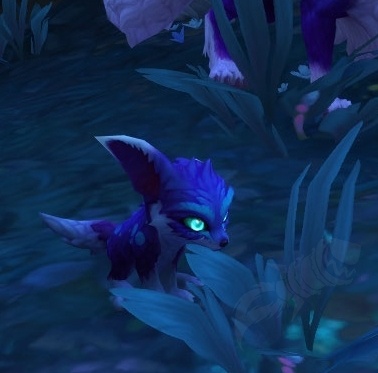 Grove Kit - NPC - World of Warcraft