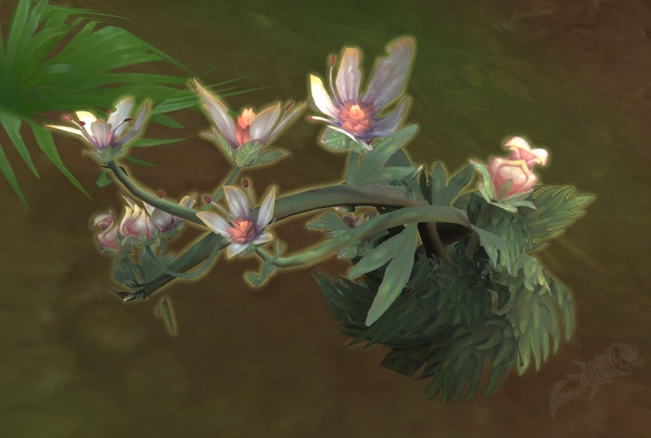 Saxifrage - Object - World of Warcraft