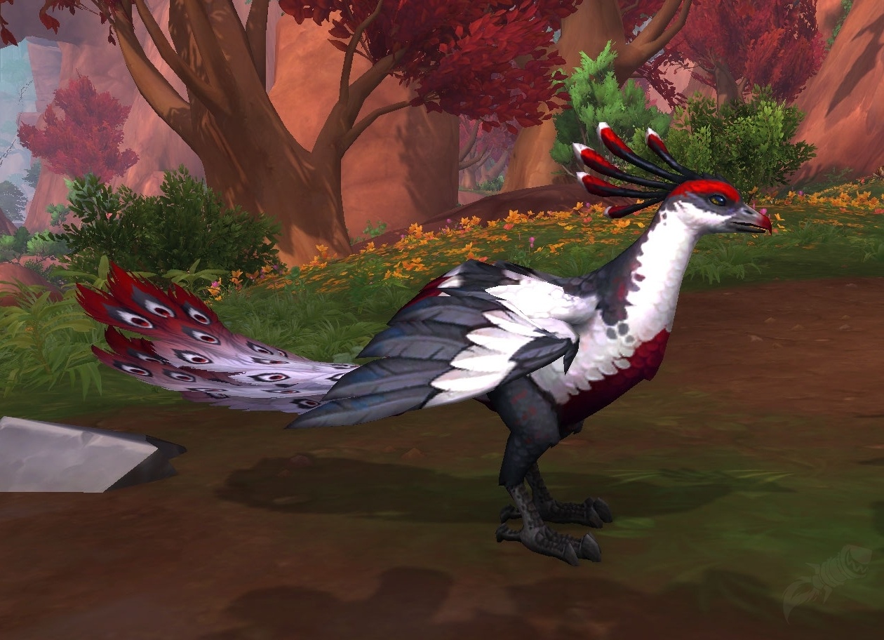 루비 새끼 공작새 - NPC - 월드 오브 워크래프트