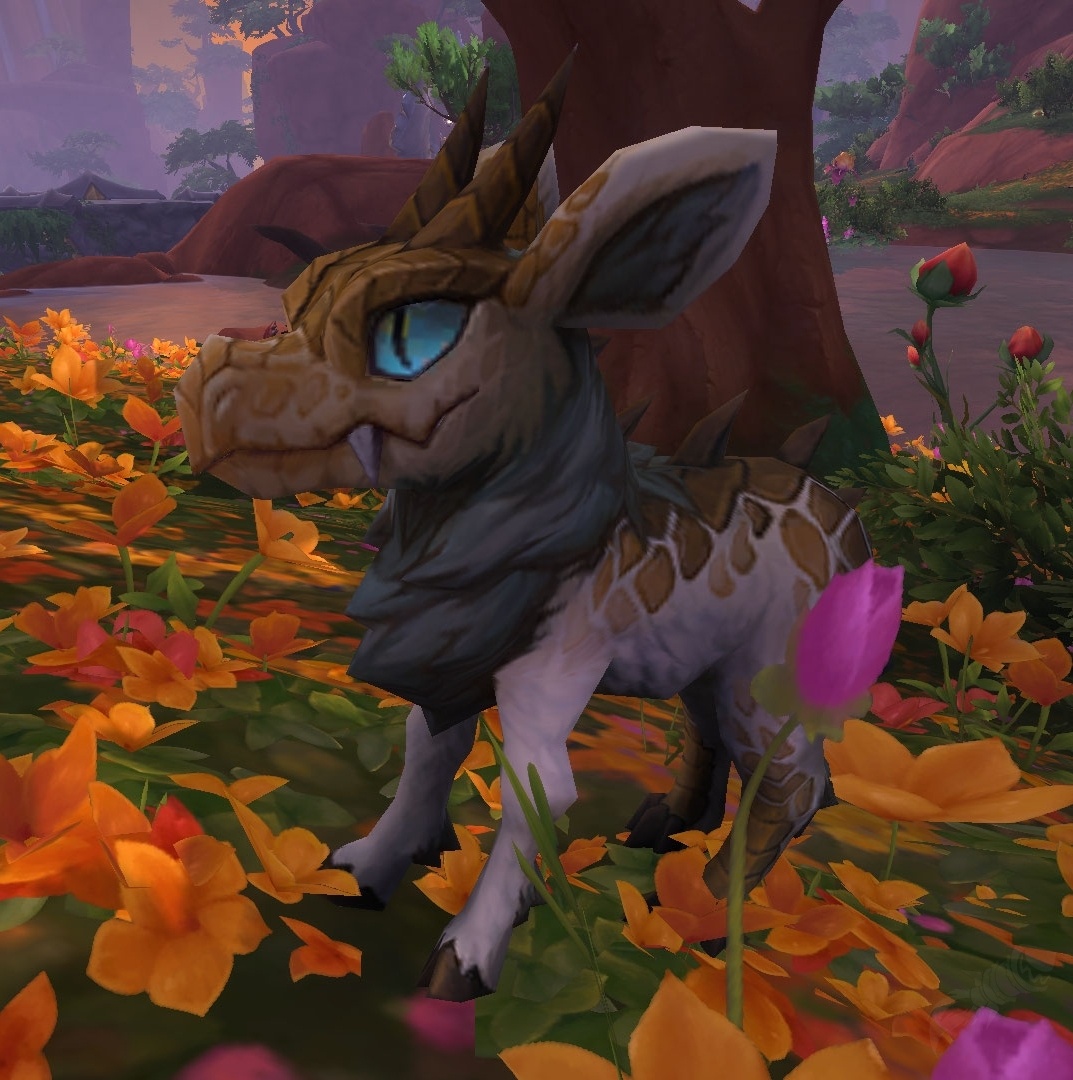 Elegant Foal - NPC - World of Warcraft