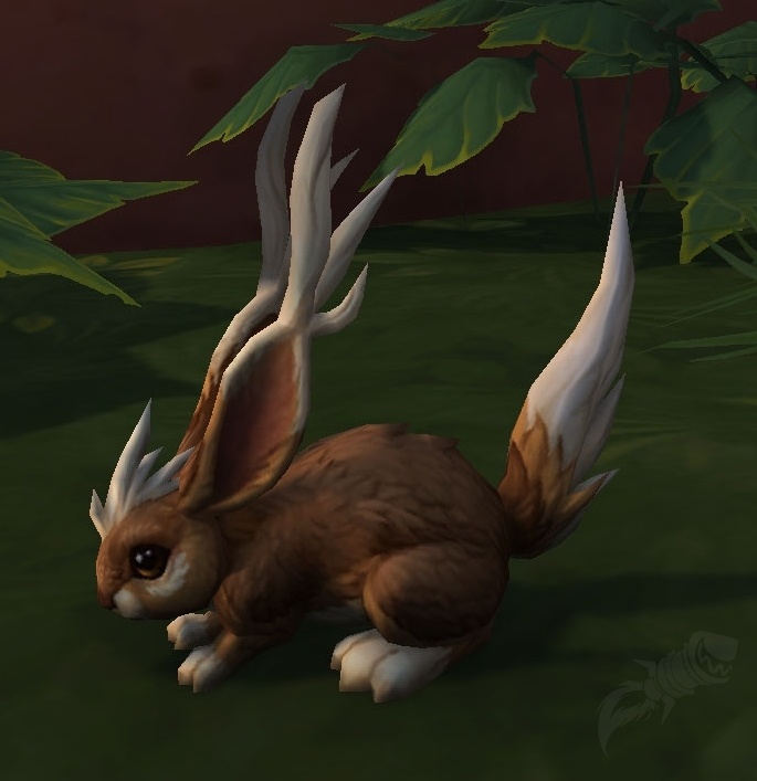 Shaggy Rabbit - NPC - World of Warcraft