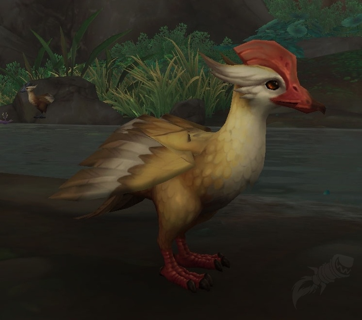 Woodwing Quacker - NPC - World of Warcraft