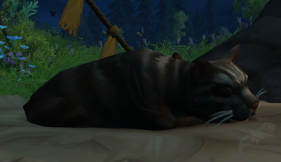 Vala - NPC - World of Warcraft