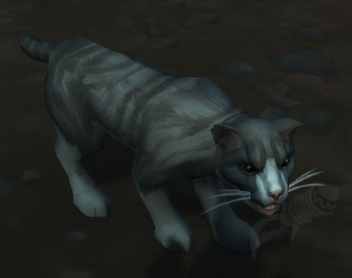 Lil Stinker - NPC - World of Warcraft