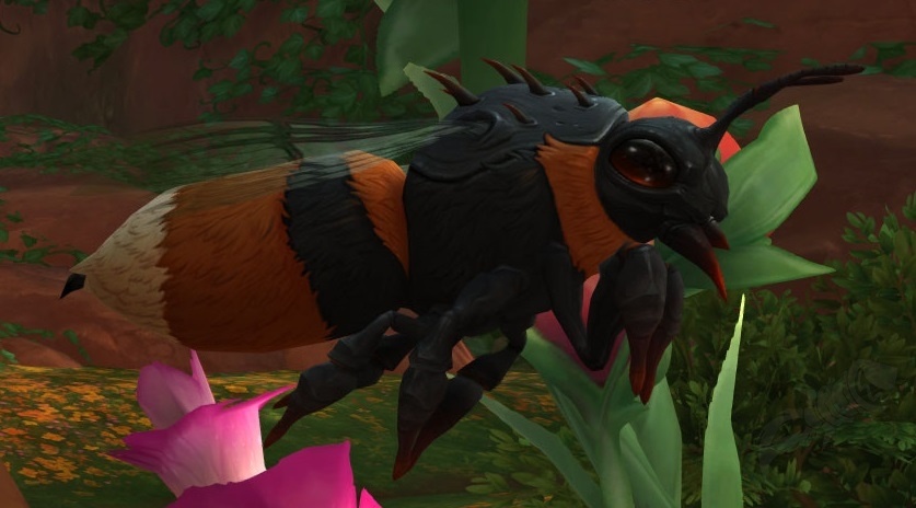 Relocated Bee - NPC - World of Warcraft