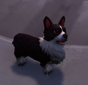 Baby - NPC - World of Warcraft