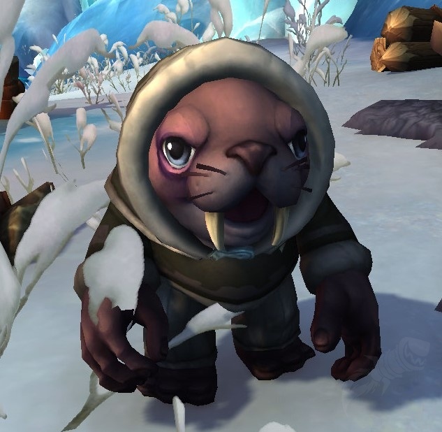 Kiopo - NPC - World of Warcraft