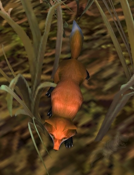 Fox Kit - NPC - World of Warcraft