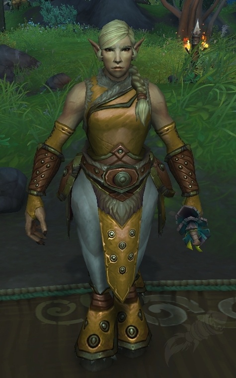 Healer Selbekh - NPC - World of Warcraft