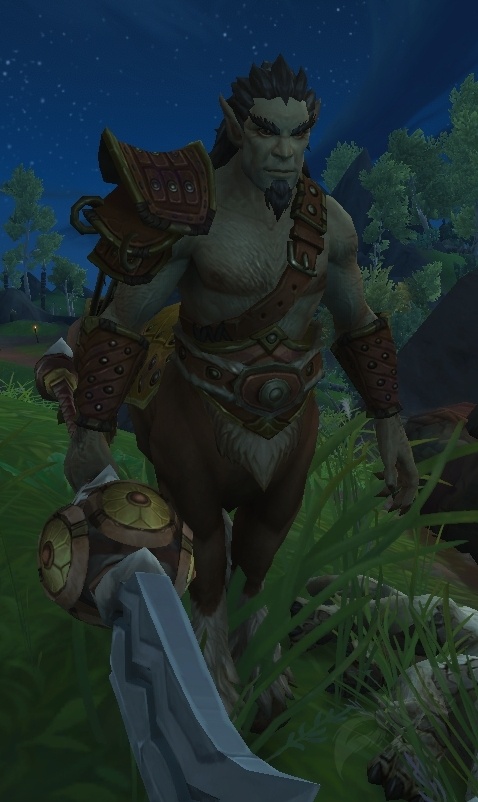 Belluaire Tirren - PNJ - World of Warcraft