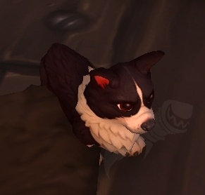 Bunter - NPC - World of Warcraft