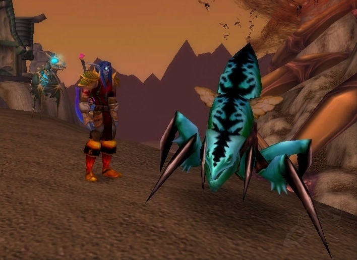 Aqiri - Hunter Pet - World of Warcraft