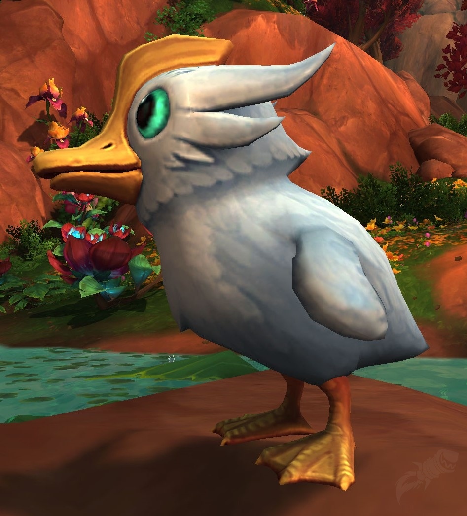 Patinho Depenado - PNJ - World of Warcraft