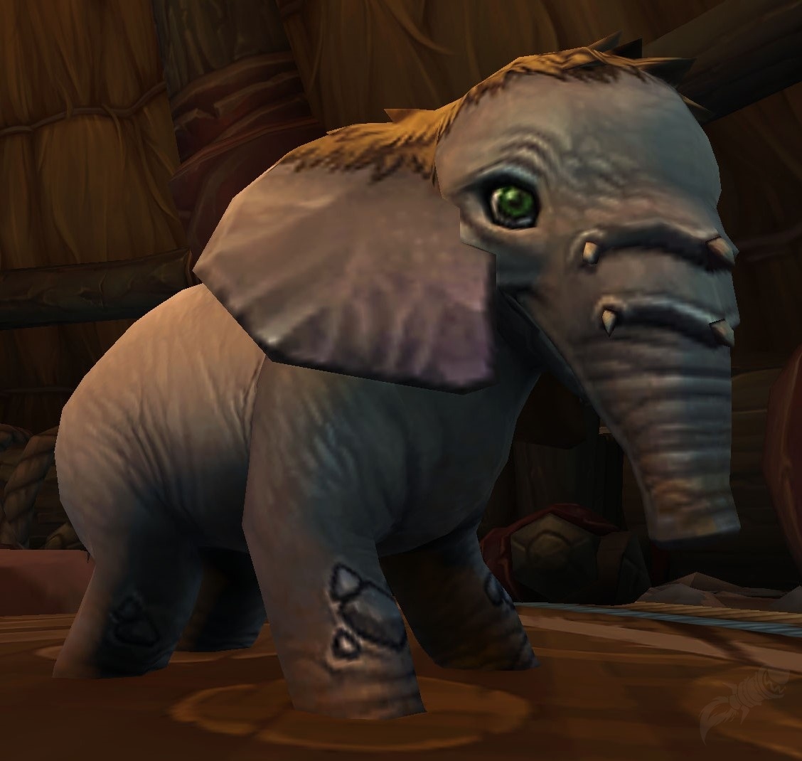 Phantus - NPC - World of Warcraft