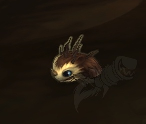 Ongke the Ottuk - NPC - World of Warcraft