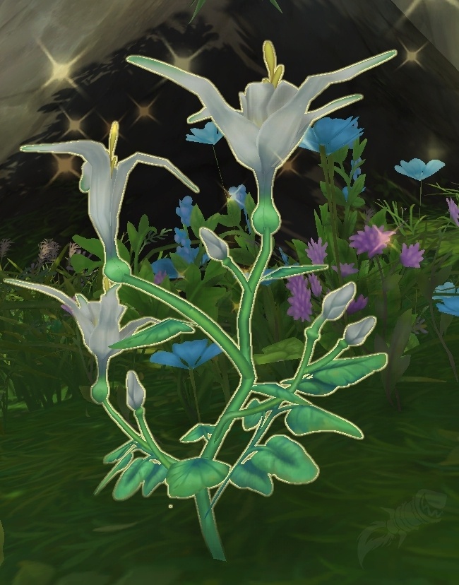 Cirrus Flowers - Object - World of Warcraft