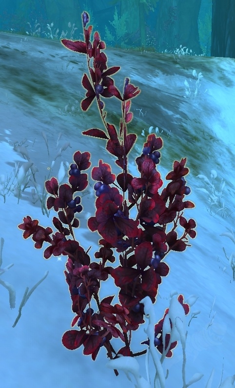 Coldsnap Sagittate Bush - Object - World of Warcraft