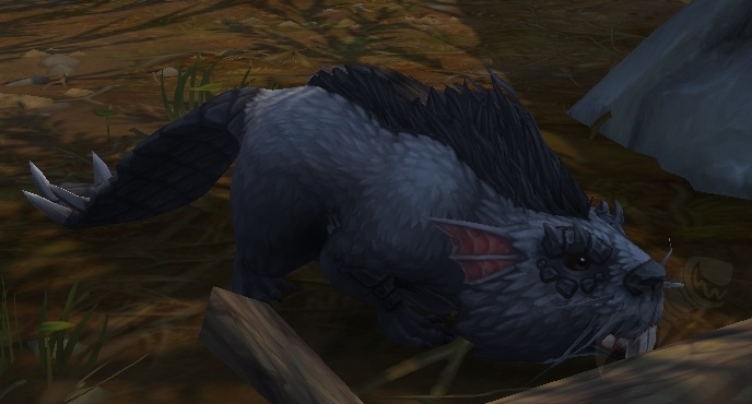 Wildwater Timbertooth - NPC - World of Warcraft