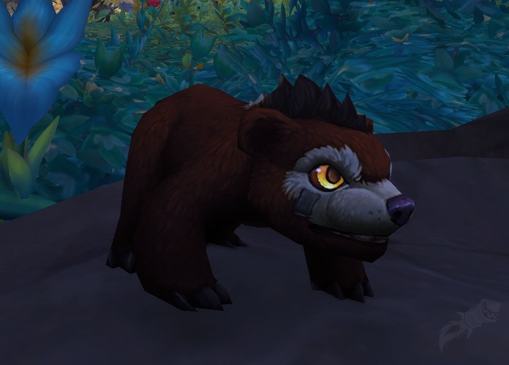 Razortooth Bear Cub - NPC - World of Warcraft