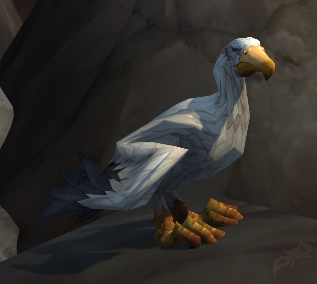 Nesting Seawing NPC World Of Warcraft nesting-seawing-npc-world-of-warcraft