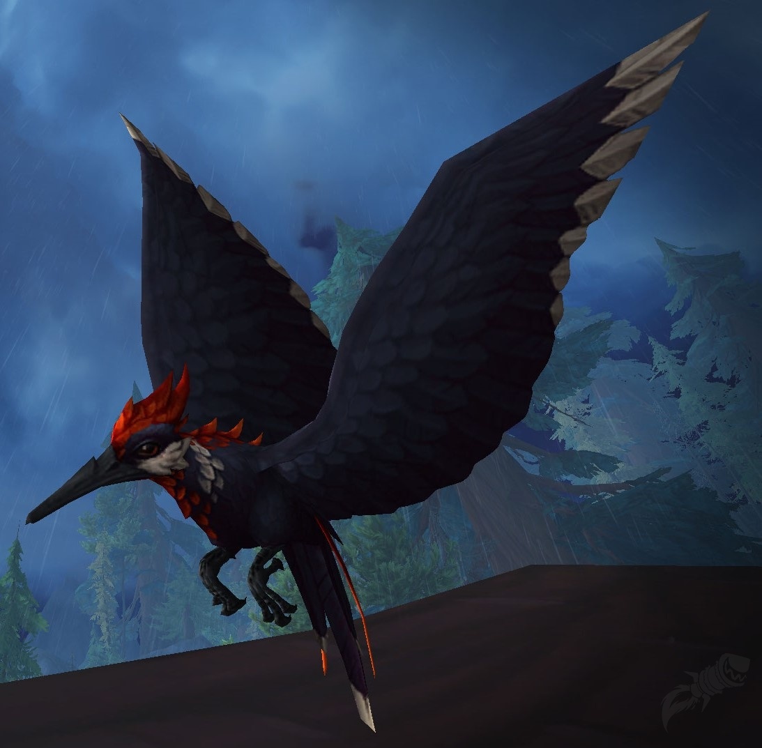 Blackfeather Nester - NPC - World of Warcraft