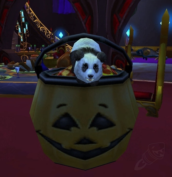 Osito panda - Hechizo - WotLK Clásico