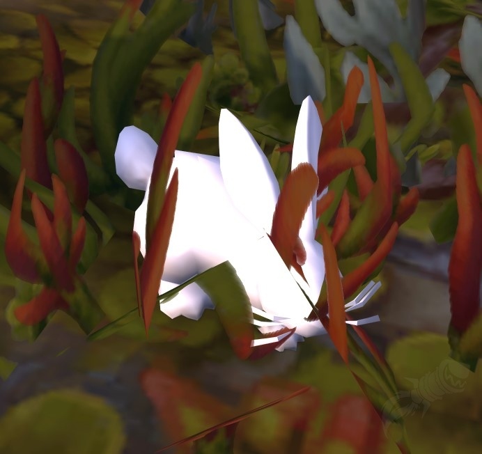 Clone - NPC - World of Warcraft