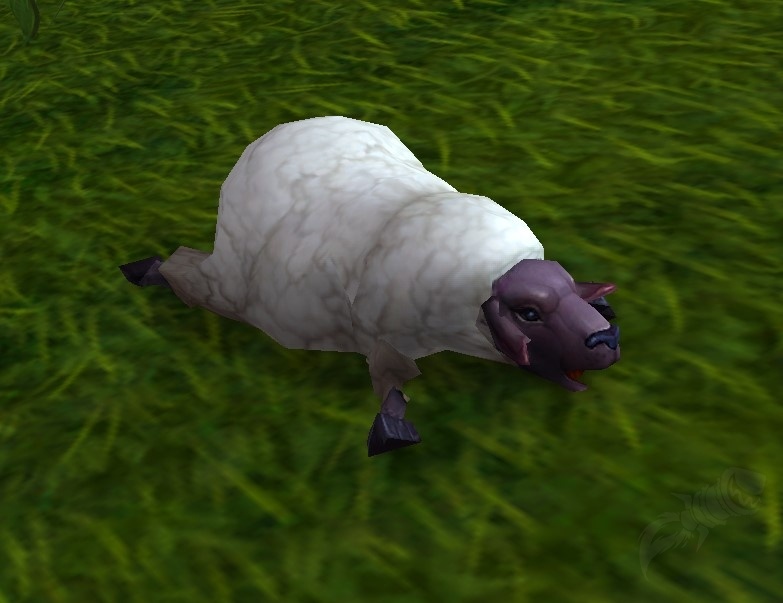 Sheepie - NPC - World of Warcraft