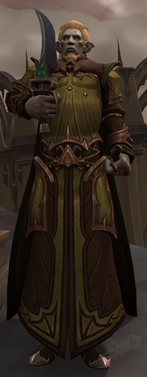 Sinfall Defender - NPC - World of Warcraft